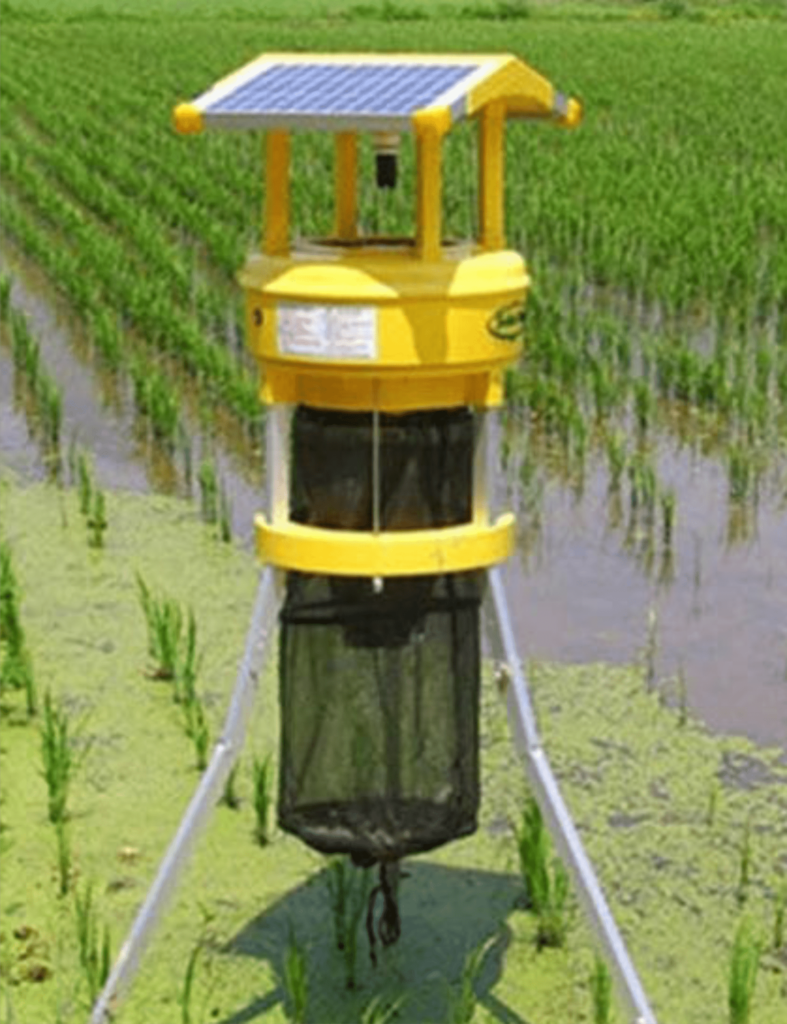 Pheromone Traps Manufacturer and Supplier in India| GreenCore
